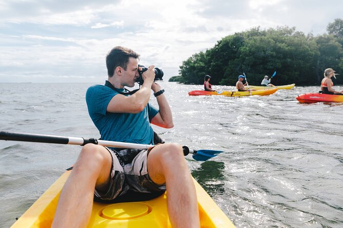 Mangrove Kayak + Snorkel & Sunset Sail Hosted by Honest Eco - Positive Customer Experiences