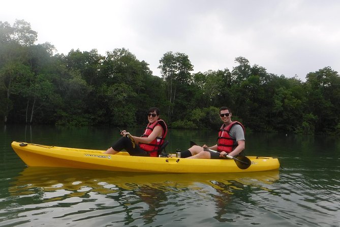 Mangrove Kayaking Adventure in Singapore - Authentic Experiences and What to Expect from Reviews