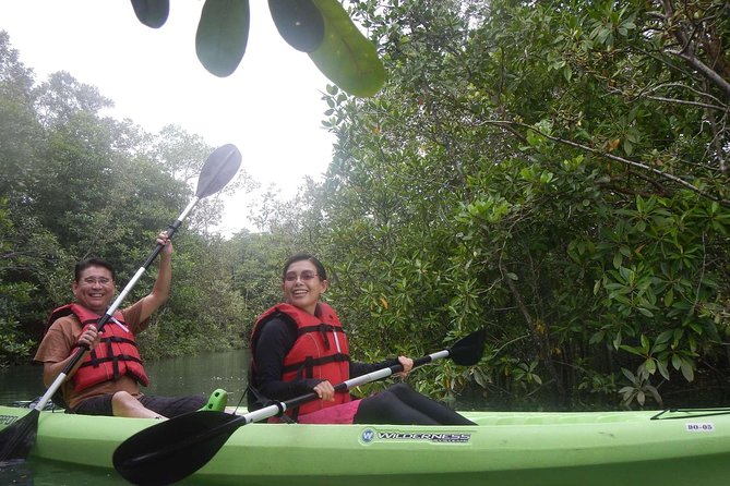 Mangrove Kayaking Adventure in Singapore - Final Thoughts: Who Should Consider This Tour?