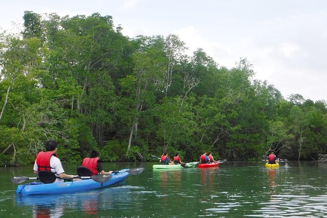Mangrove Kayaking Adventure in Singapore - The Sum Up