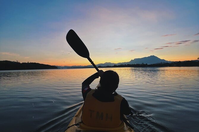 Mangrove Kayaking Experience in Borneo - Who Will Love This Experience?