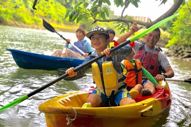 Mangrove Kayaking to Enjoy Nature in Okinawa - Wildlife Observation During the Tour