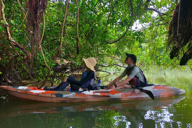 Mangrove Kayaking to Enjoy Nature in Okinawa - Suitable for All Ages and Skill Levels