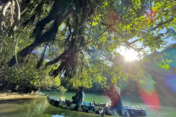 Mangrove Kayaking to Enjoy Nature in Okinawa - Accessibility and Participant Guidelines