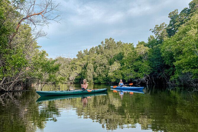 Mangrove Kayaking Tour - Key Points