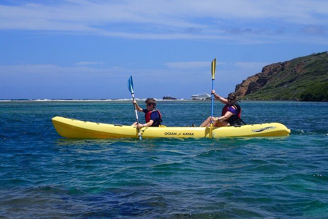 Mangrove Lagoon Kayak Rental in St Thomas - What’s Included and How It Works