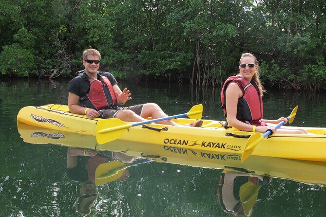 Mangrove Lagoon Kayak Rental in St Thomas - Wildlife and Snorkeling Highlights