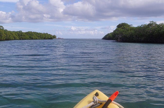 Mangrove Lagoon Kayak Rental in St Thomas - The Experience of Independence