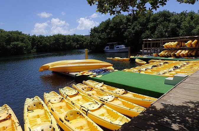 Mangrove Lagoon Kayak Rental in St Thomas - Value for Money