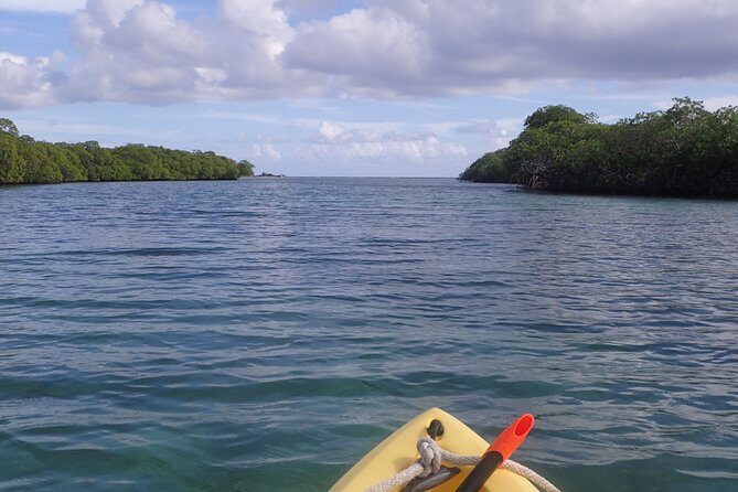 Mangrove Lagoon Kayak Rental in St Thomas - Accessibility and Practicalities