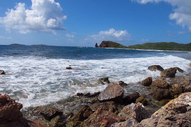 Mangrove Lagoon Kayak Rental in St Thomas - Who Is This Tour Perfect For?