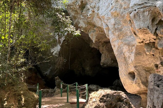 Mangrove River Cruise and Snorkeling Tour from Langkawi - Final Thoughts