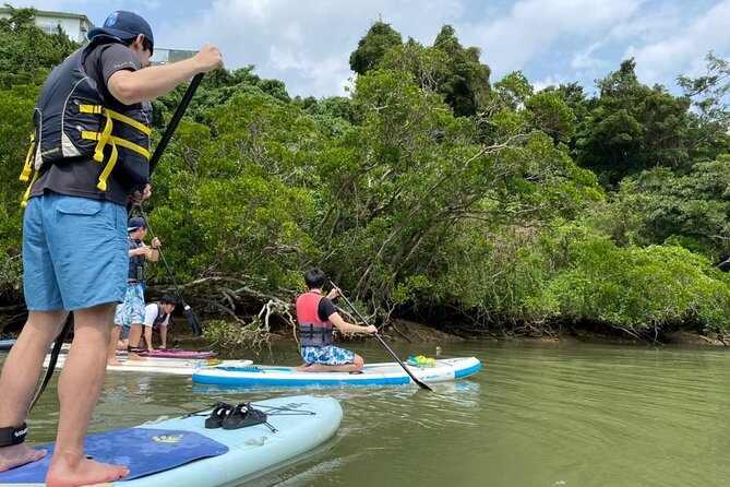 Mangrove SUP in Okinawa - Location and Meeting Point