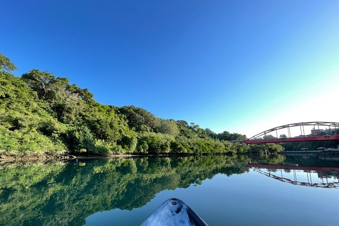 Mangrove SUP in Okinawa - What to Expect on the Mangrove SUP Experience