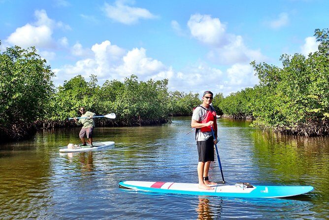 Mangrove SUP Safari - Starting Out: Safety & Basic Instruction