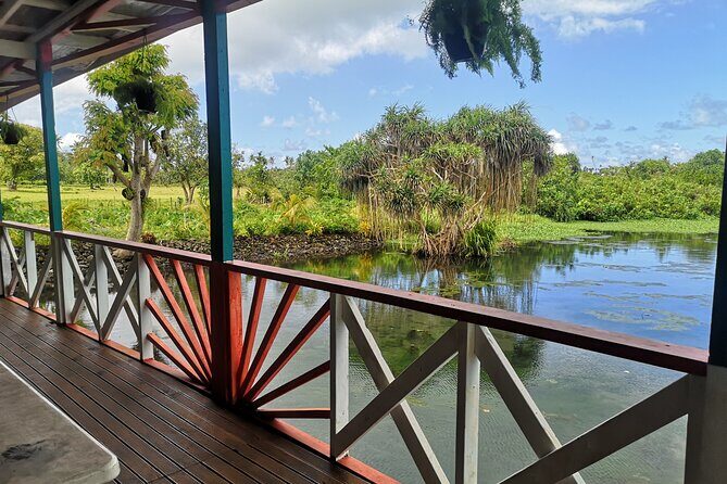 Mangrove to Lagoon Kayak and Paddleboard Adventure - An In-Depth Look at the Tour