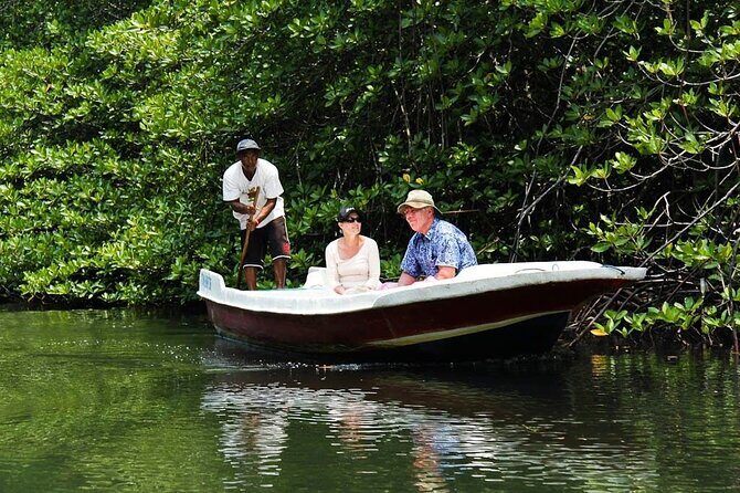 Mangrove Tour at Nusa Lembongan : Kayak, Paddle and Boat - An In-Depth Look at the Mangrove Tour Experience