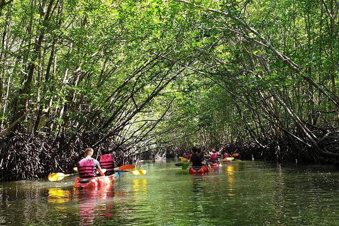 Mangrove Tour by Kayaking in Ko Lanta With Lunch - Key Points