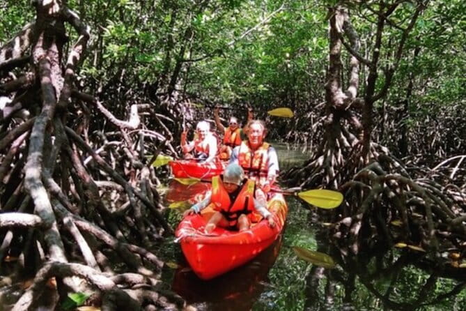 Mangrove Tour by Kayaking in Ko Lanta With Lunch - What Makes This Tour Stand Out?