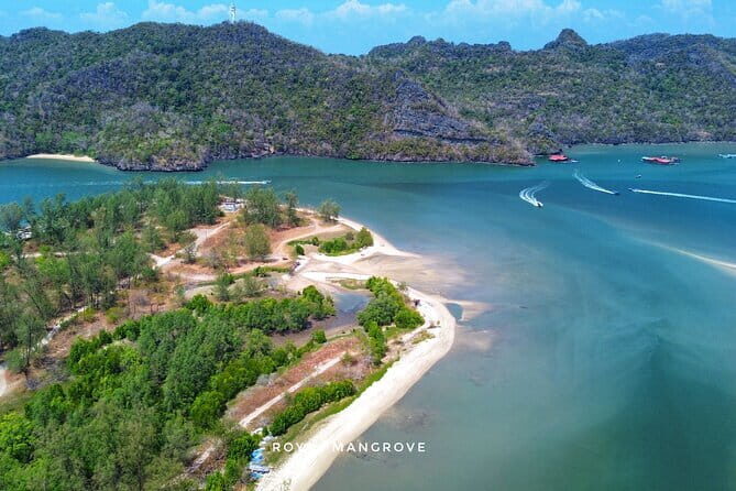 Mangrove Tour with Snorkelling - FAQ