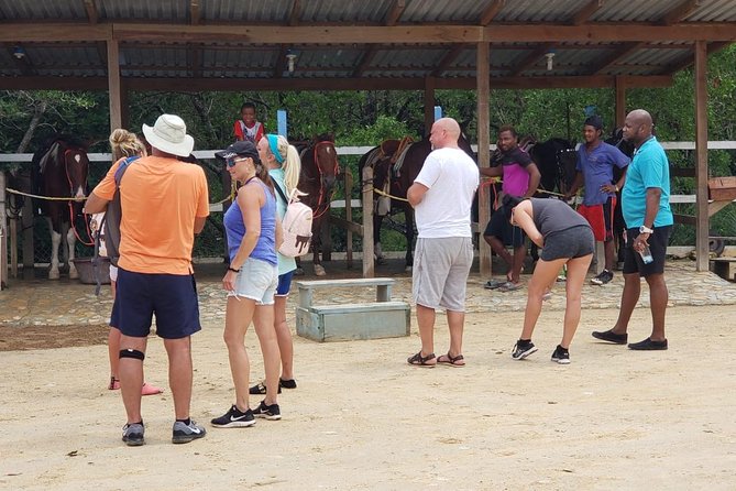 Mangrove Tour,Horseback Riding, Snorkeling and Beach in Roatan - Key Points