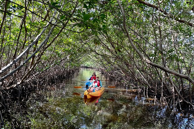 Mangrove Tunnel Kayak Eco Tour - Meeting Information and Operating Hours