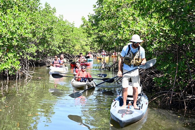 Mangrove Tunnel Kayak Eco Tour - Customer Feedback and Ratings