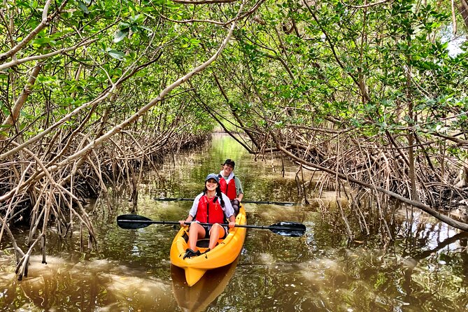 Mangrove Tunnel Kayak Eco Tour - Frequently Asked Questions