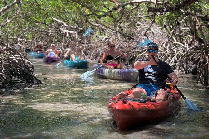 Mangrove Tunnel Kayak Tour To Shell Key - St. Pete, FL - Final Thoughts: Who Will Love This Tour?