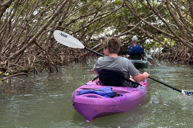 Mangrove Tunnel Kayak Tour To Shell Key - St. Pete, FL - Final Words