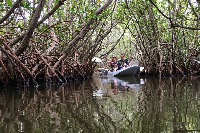 Mangrove Tunnels, Dolphins, Manatee Tour #1 Rated in Cocoa Beach - Who Will Love This Tour?
