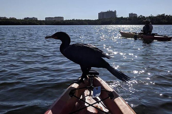 Mangrove Tunnels Pedal Kayak Eco-Tour in Anna Maria - Why This Tour Stands Out