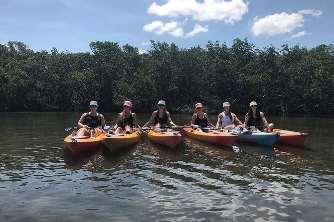Mangrove Tunnels Pedal Kayak Eco-Tour in Anna Maria - Final Thoughts: Who Will Love This Experience?