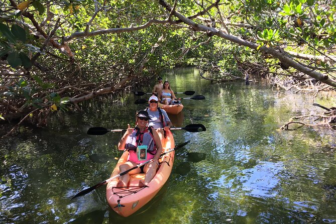 Mangroves and Manatees - Guided Kayak Eco Tour - Exploring the Florida Keys’ Unique Ecosystem