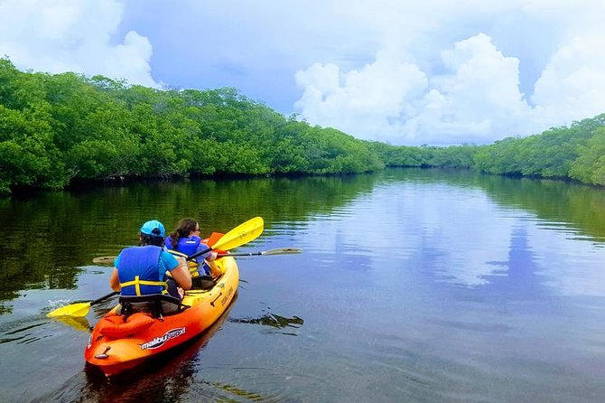 Mangroves and Manatees - Guided Kayak Eco Tour - The Logistics: Practical Details for Your Planning