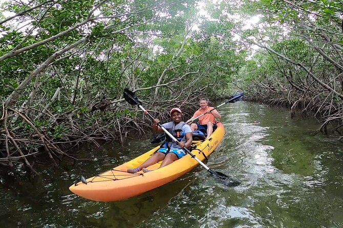 Mangroves and Manatees - Guided Kayak Eco Tour - Final Thoughts: Is This Tour Worth It?