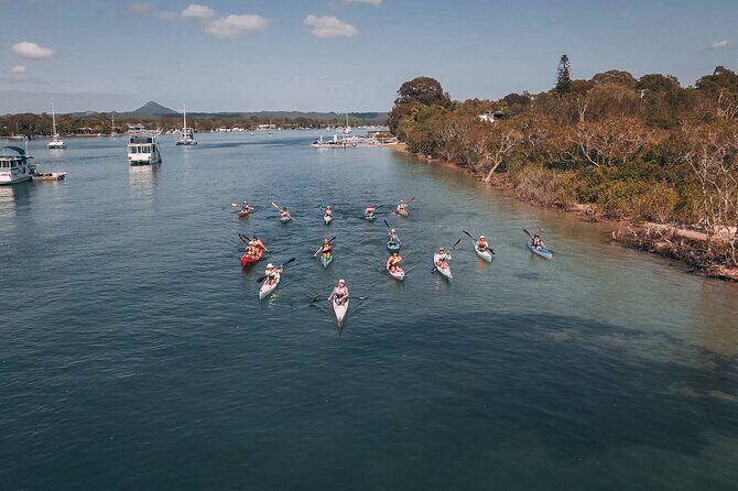 Mangroves and Mansions Guided Kayak Tour on the Noosa River - An Authentic Look at Noosa’s Waterside Wonders