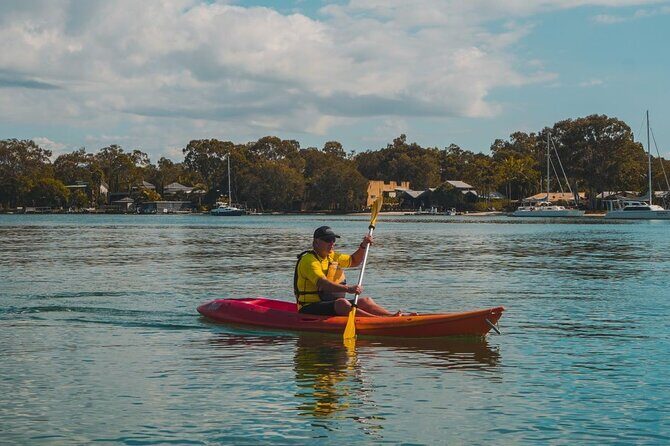 Mangroves and Mansions Guided Kayak Tour on the Noosa River - Who Will Love This Tour?