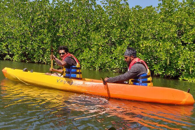 Mangroves Kayaking At Havelock - A Deep Dive into the Mangroves Kayaking Experience at Havelock