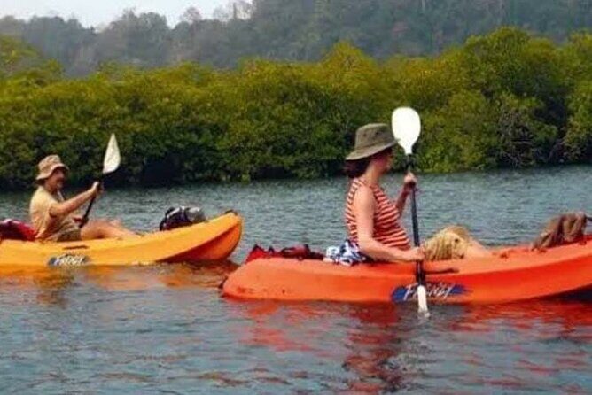 Mangroves Kayaking At Havelock - Practical Tips for Your Trip