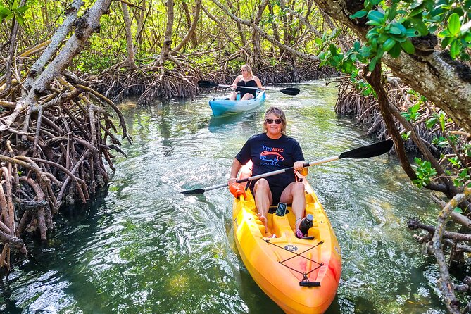 Mangroves, Manatees, and a Hidden Beach: Kayak Tour - Practical Details and Value