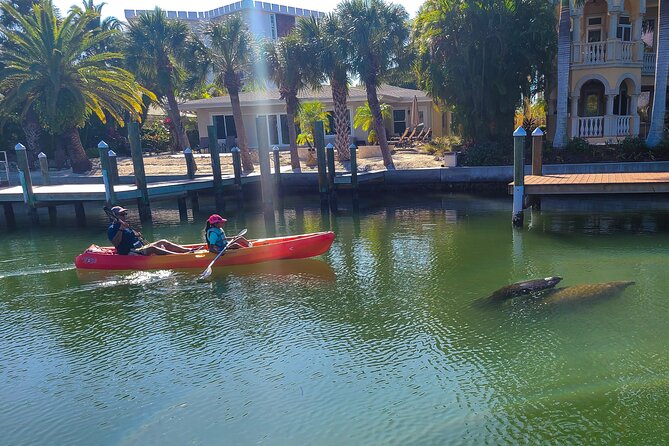 Mangroves, Manatees, and a Hidden Beach: Kayak Tour - Who Will Love This Tour?