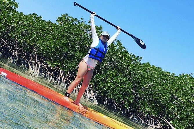 Mangroves Stand-Up Paddleboard Tour - What Is the Mangroves Stand-Up Paddleboard Tour?