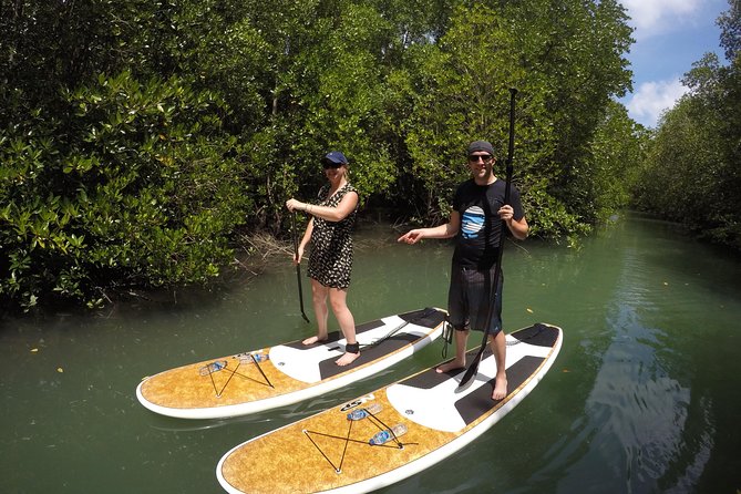 Mangroves SUP Tour Phuket - Who Should Book This Tour?