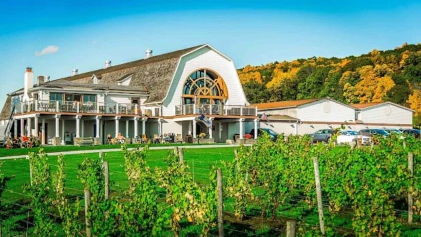 Manhattan: Millbrook Vineyards & Winery Private Tour - Key Points