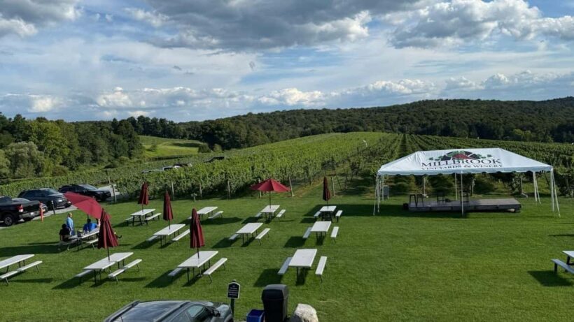 Manhattan: Millbrook Vineyards & Winery Private Tour - What to Expect During the Day