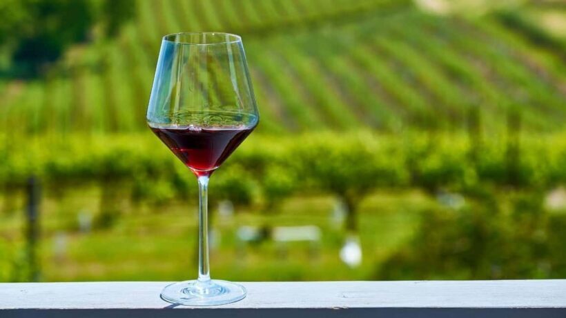 Manhattan: Millbrook Vineyards & Winery Private Tour - Who Would Enjoy This Tour?