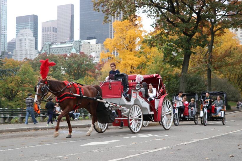 Manhattan: VIP Private Horse Carriage Ride in Central Park - An Elegant Escape into Central Park