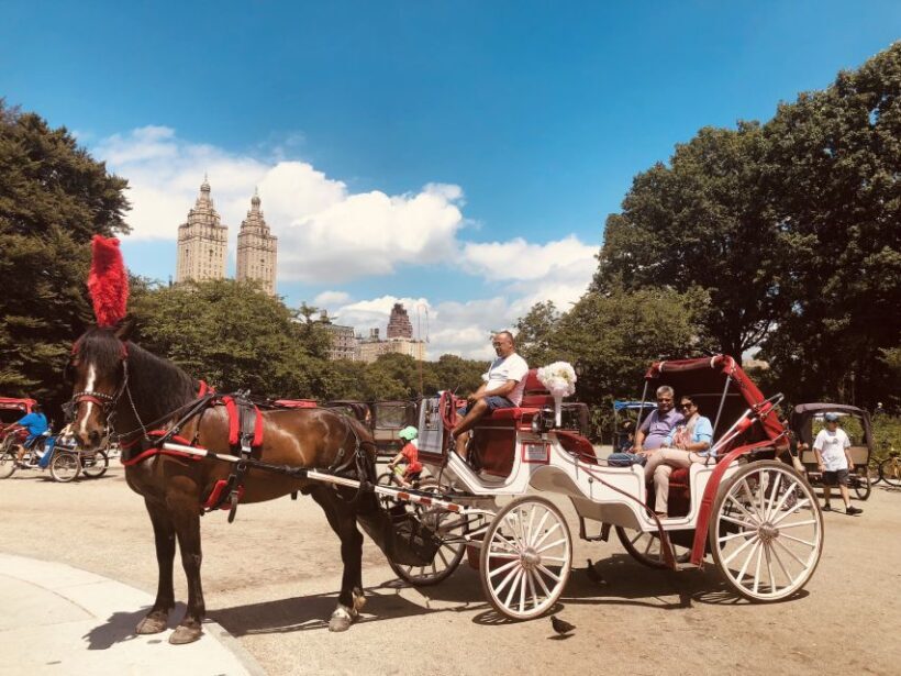 Manhattan: VIP Private Horse Carriage Ride in Central Park - Authentic, Intimate, and Easy