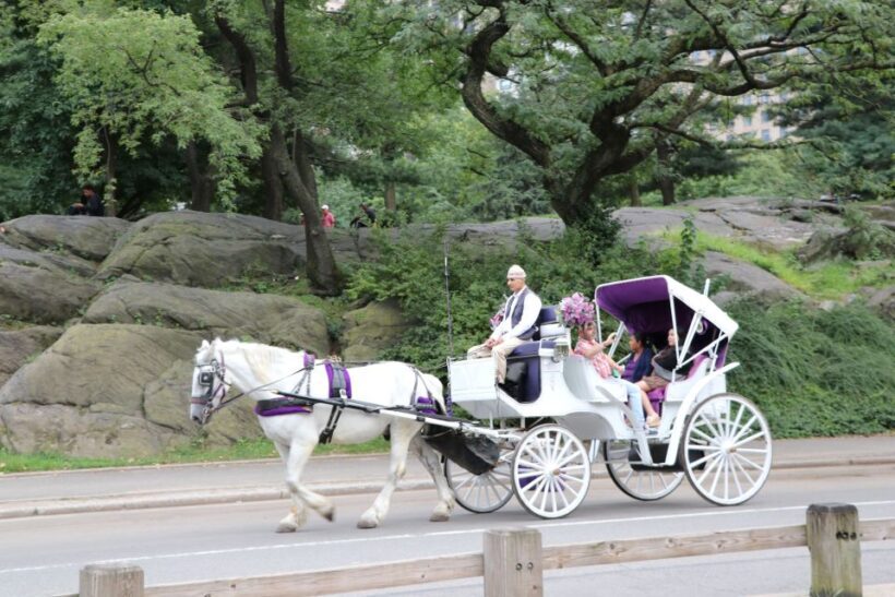 Manhattan: VIP Private Horse Carriage Ride in Central Park - Who Is It Best For?